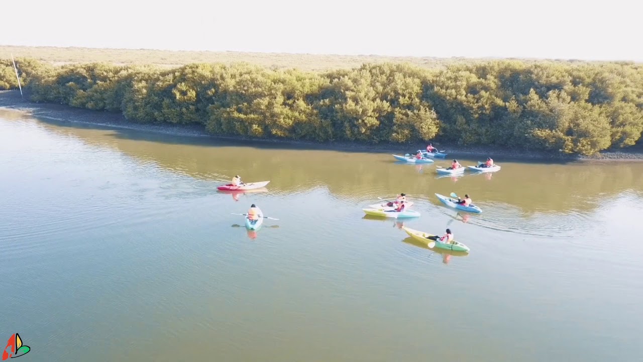 Kayaking with Flamingo | تجديف الكاياك مع الفلامنجو - YouTube