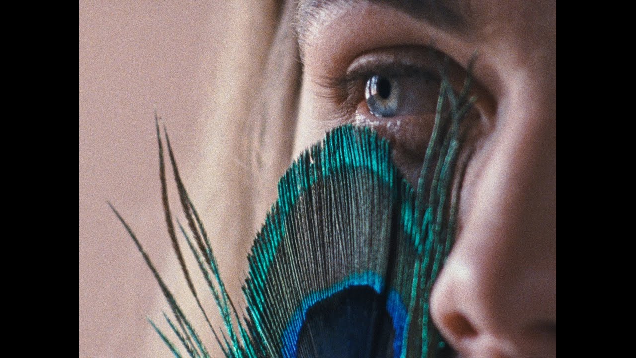 The Metamorphosis of Birds - Official UK trailer - YouTube