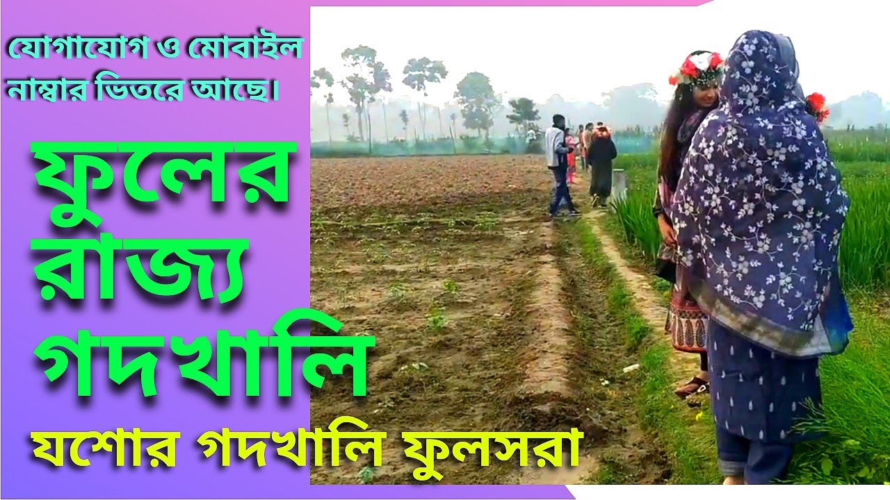 গদখালি যশোর ফুলের রাজ্য | Godkhali flower garden Jessore | - YouTube