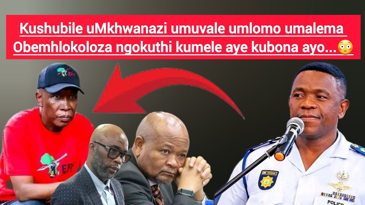 Kushubile uMkhwanazi umuvale umlomo umalema obemhlokoloza ngokuthi ...