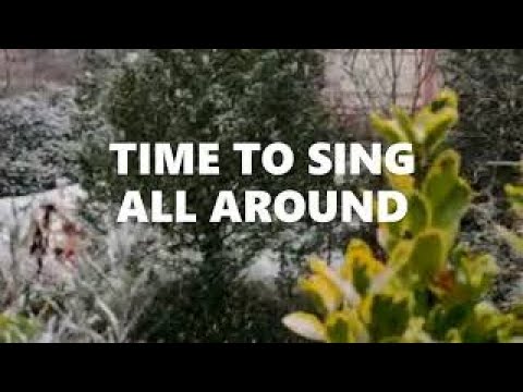 RELAXING SNOW FALLING VIDEO/BEAUTIFUL SNOW STATUS/SNOW FALLING WHATSAPP STATUS/SNOW FALL STATUS