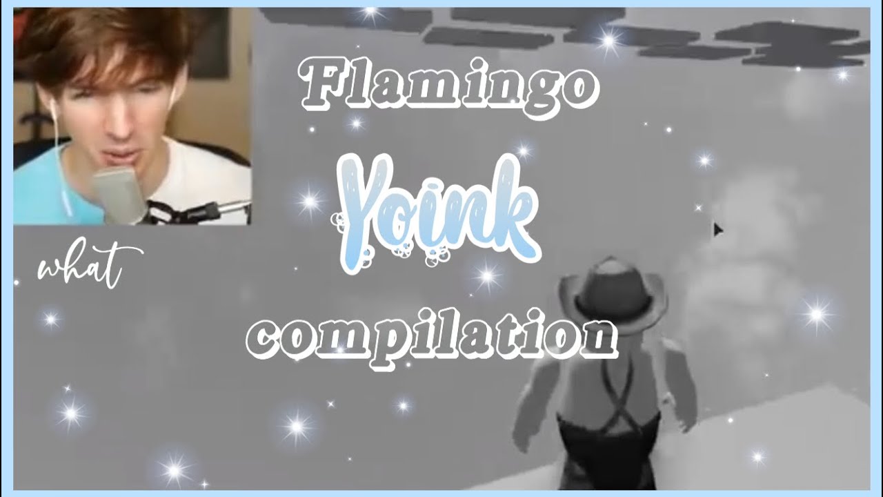 Flamingo says yoink for three minutes - YouTube