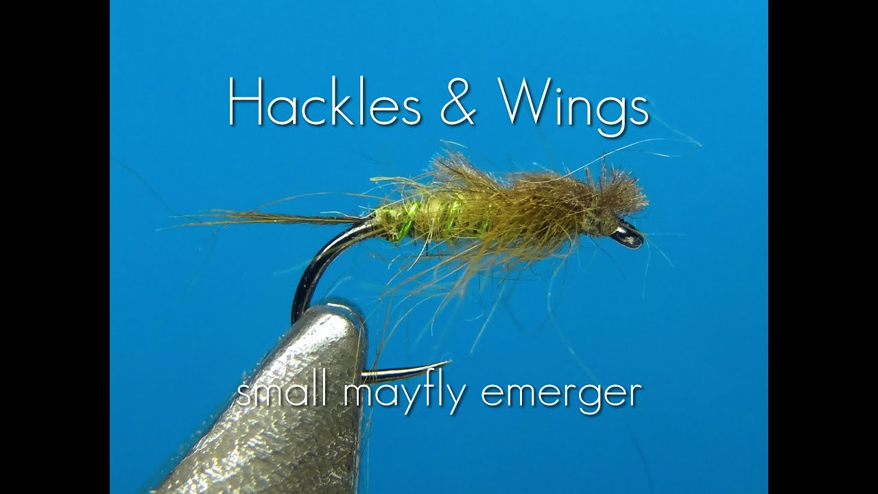 Fly Tying Small Mayfly Emerger | Hackles & Wings - YouTube
