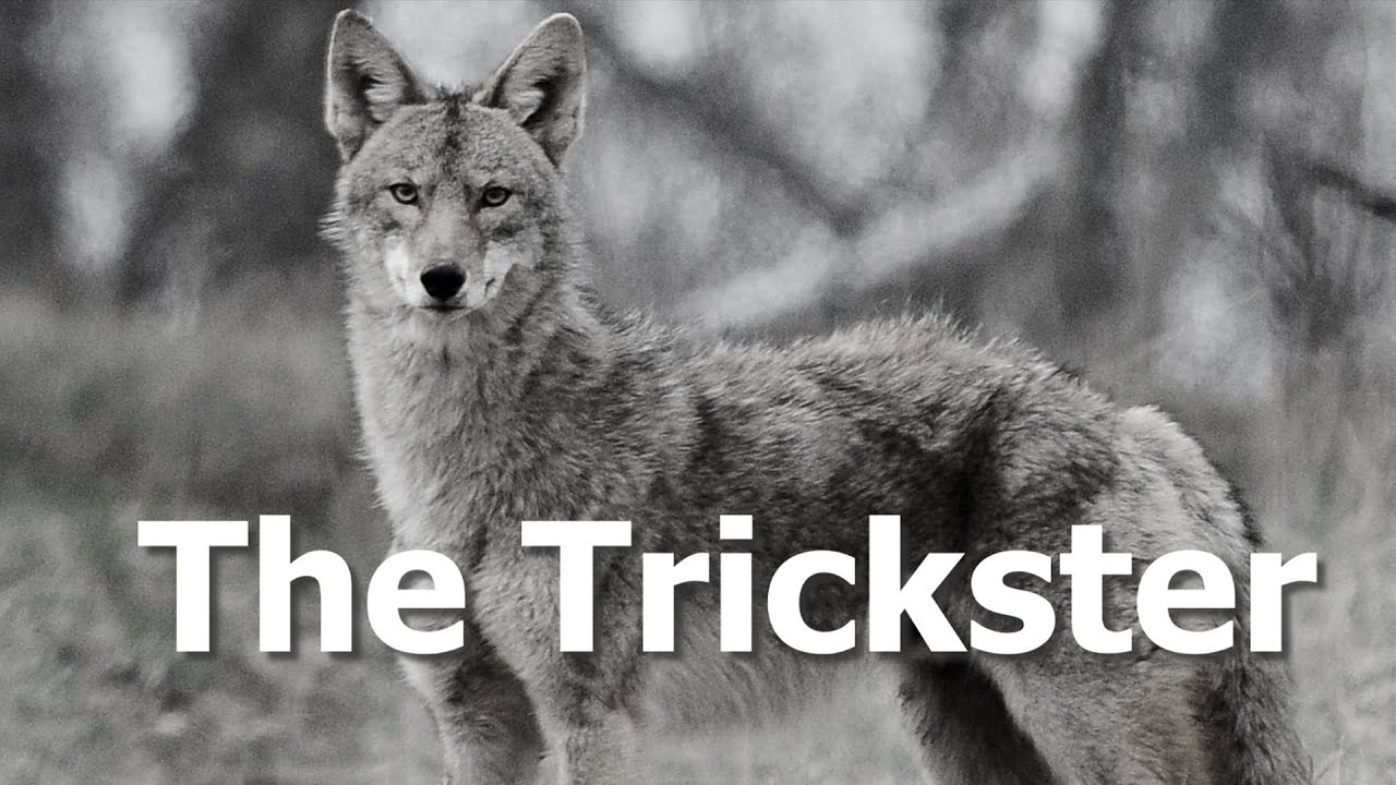 The Trickster's Tale: Native American Lore of the Superstition ...