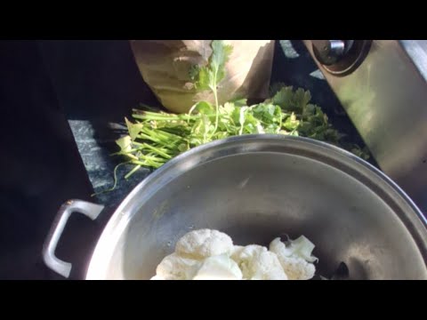 Sandhya Bhatt is live - YouTube