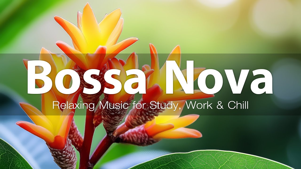Bossa Nova Jazz for Relaxation – Instrumental Music for Focus & Work ...