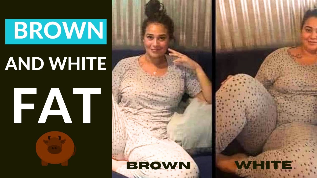 The Science behind Brown and White Fat (Fasting) - YouTube