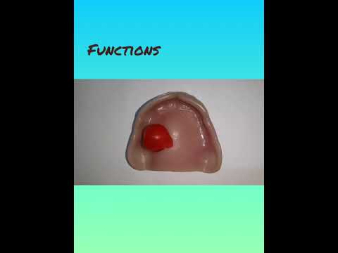 OBTURATORS IN MAXILLOFACIAL PROSTHODONTICS - YouTube