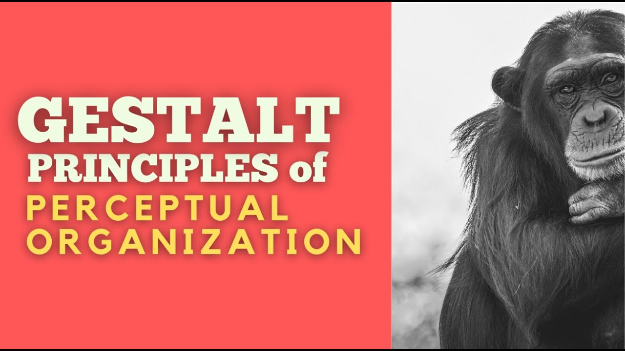 Gestalt Principles of Perceptual Organization || tsin-eng - YouTube