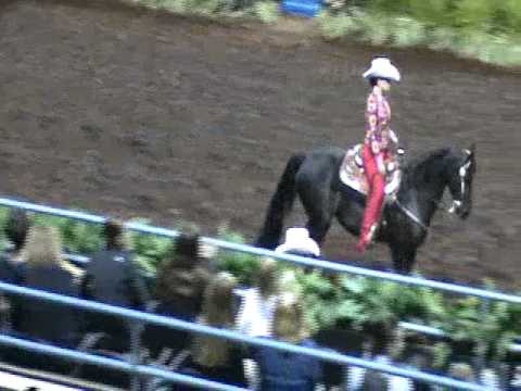 World Championship Western Pleasure Youth Class - YouTube