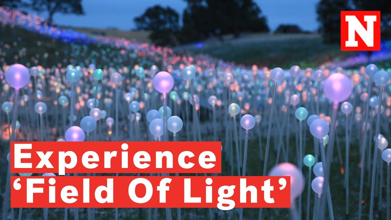 Experience The Field Of Light At Sensorio Created By Installation ...