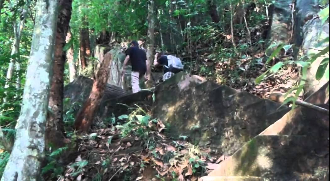 Duli Ella In Neluwa - YouTube