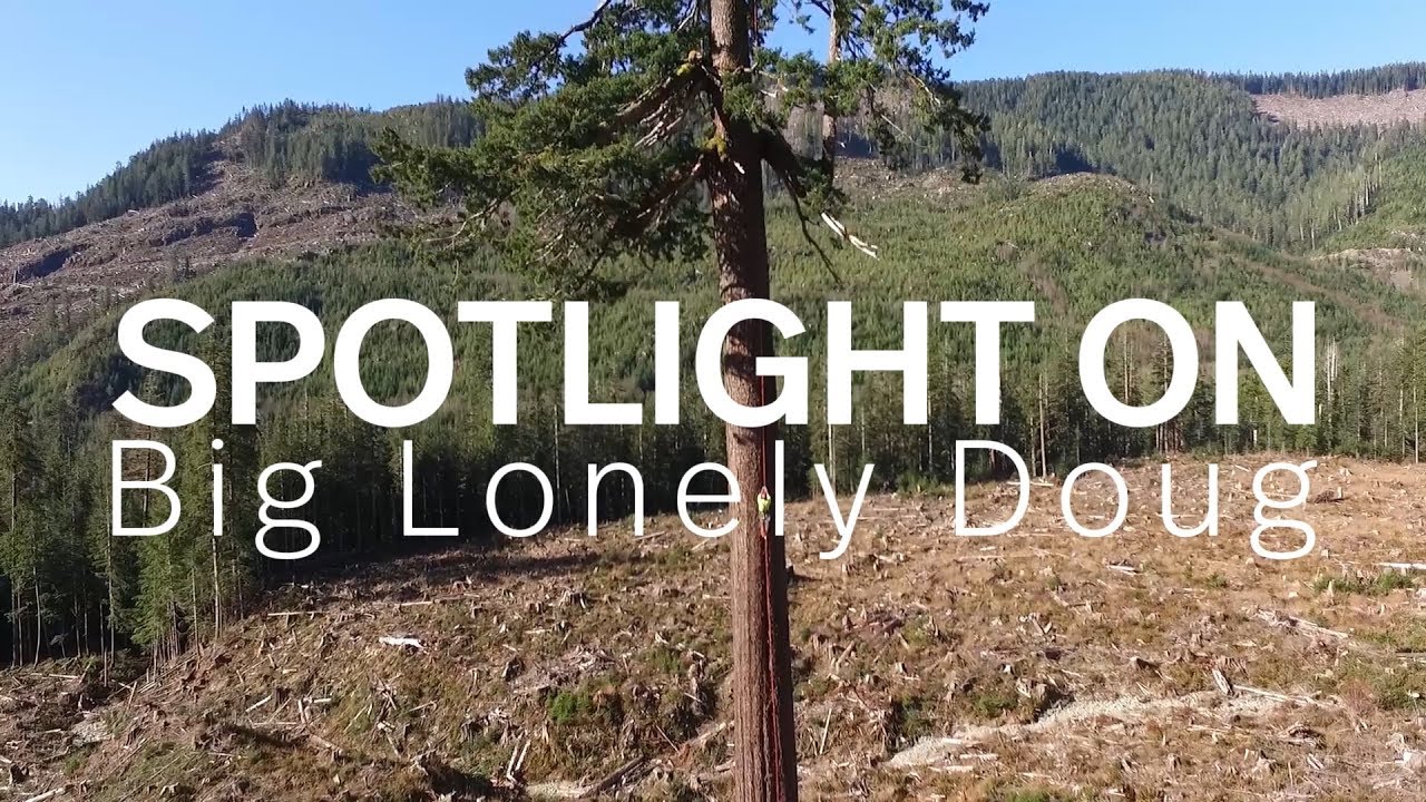 Spotlight On: Big Lonely Doug - YouTube