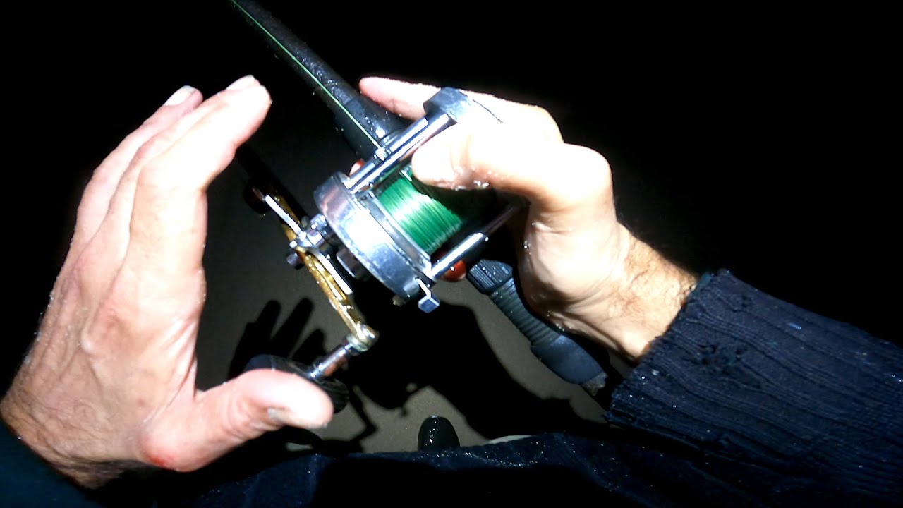 Quick Stop Striper Fishing - GRAY HOUR STRIPED BASS - Dancing with the ...