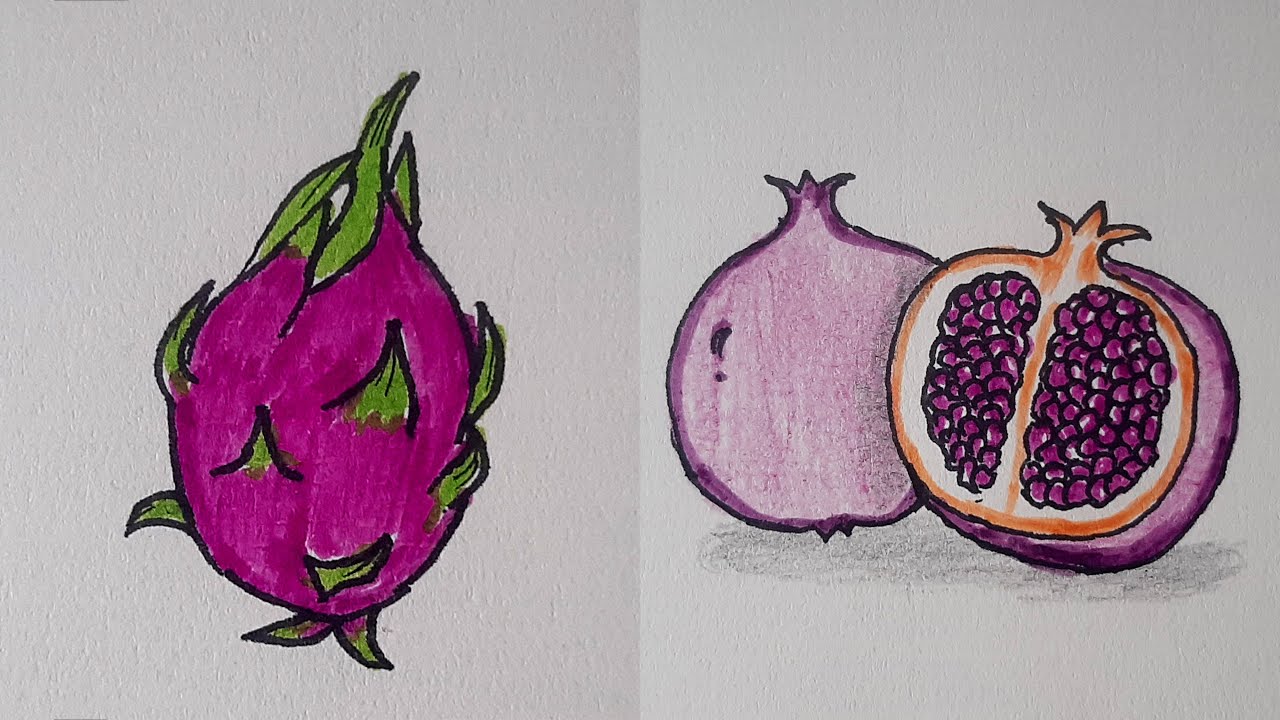 How to Draw Fruit Easy | Different types of Fruit drawing Step by Step ...
