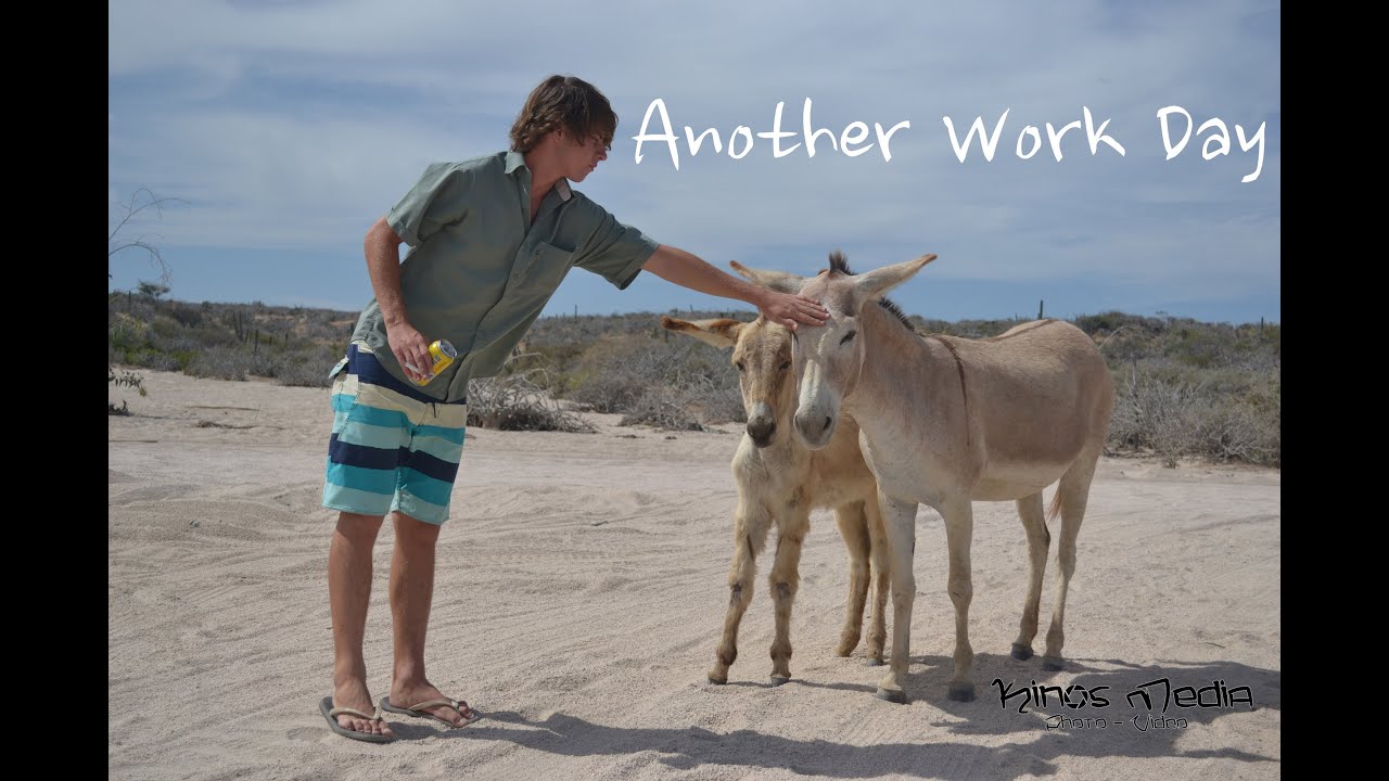 Another Work Day - YouTube