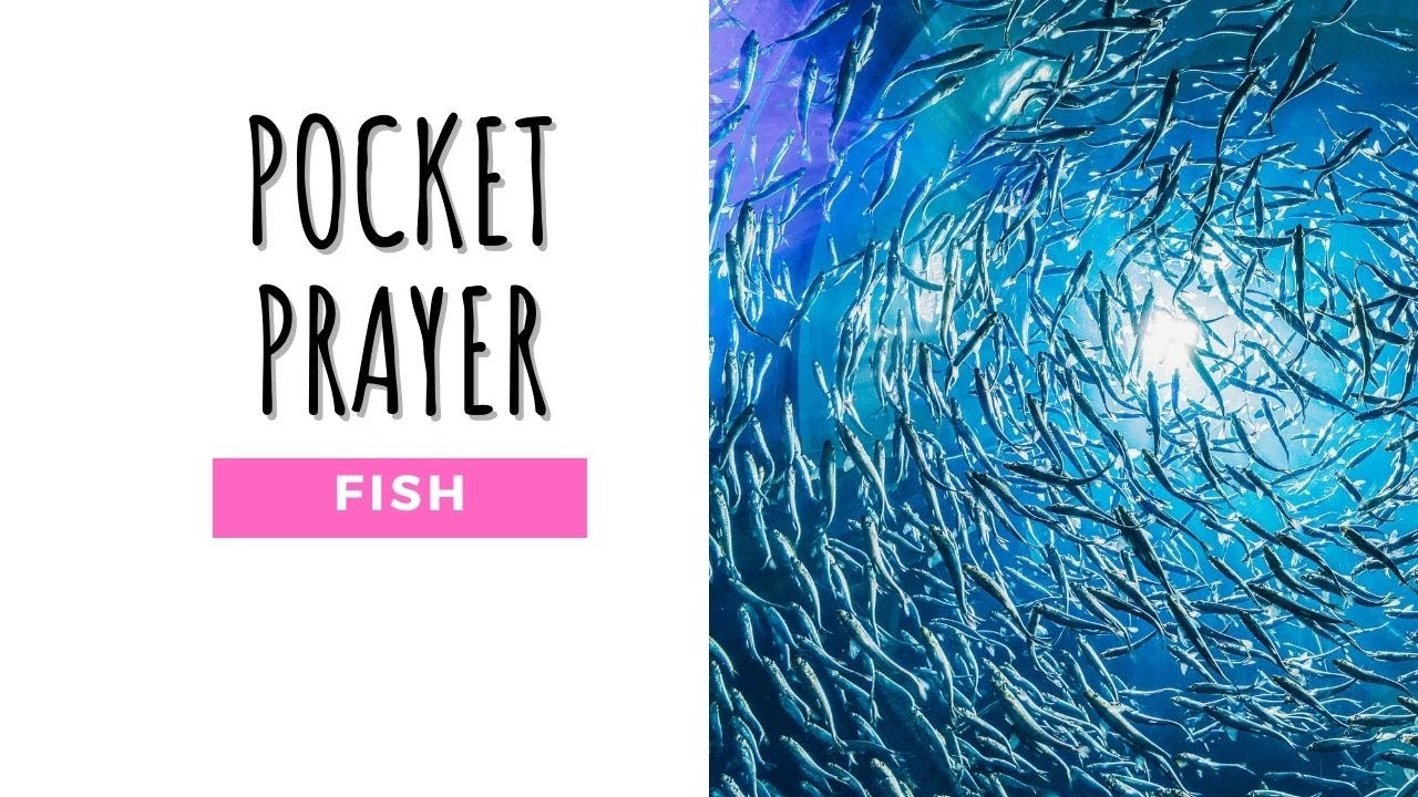 Pocket Prayer: FISH - YouTube