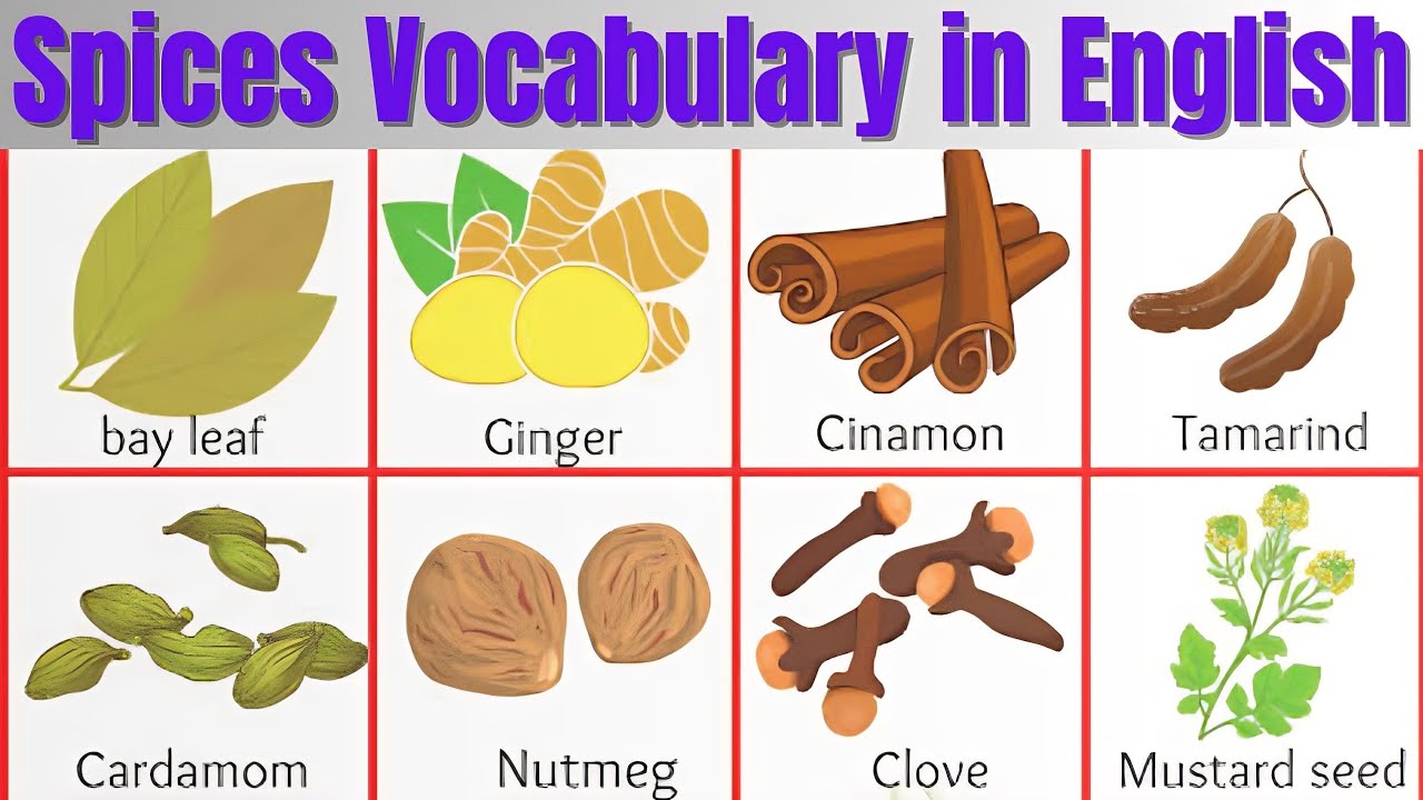 Spices Vocabulary in English | English vocabulary | #learnenglish - YouTube