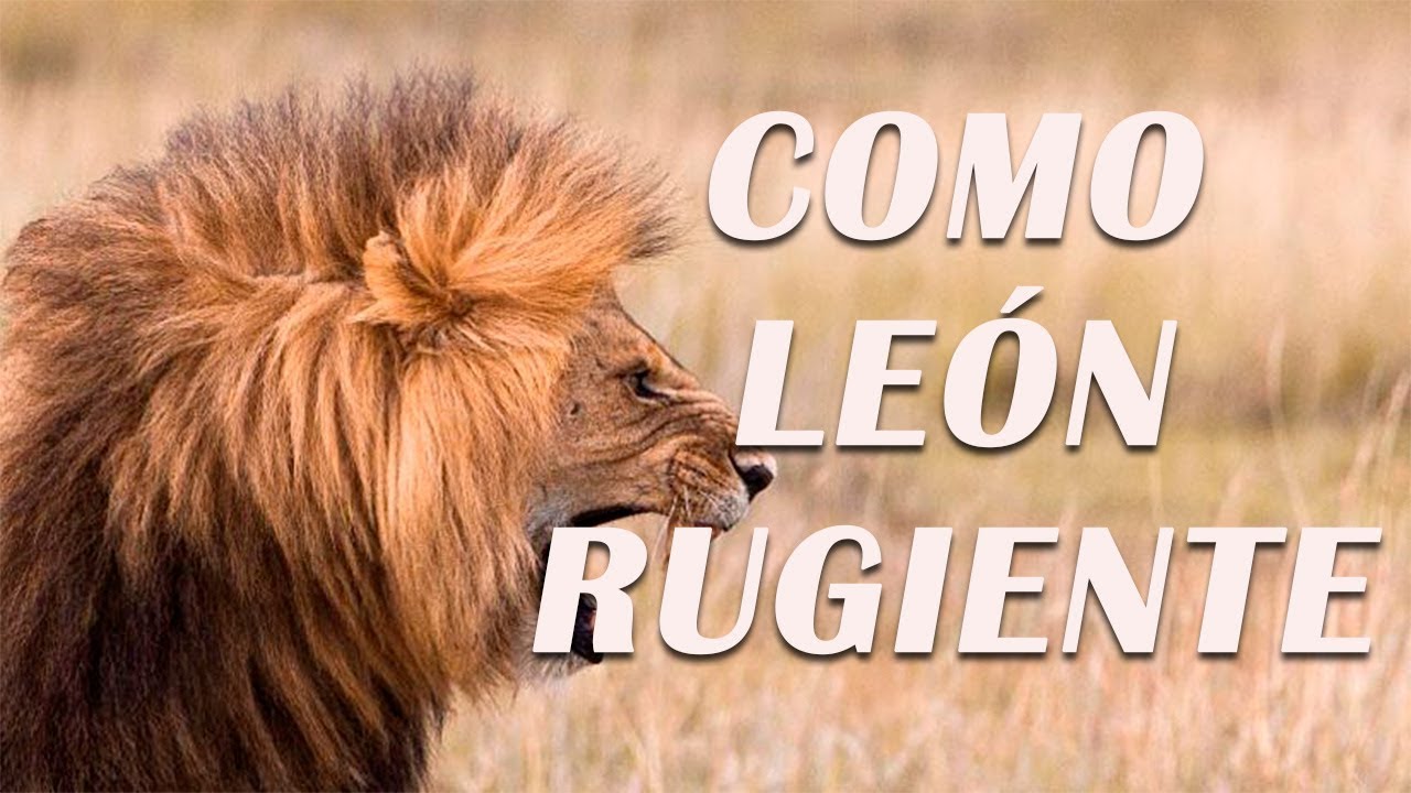 Como León Rugiente - YouTube