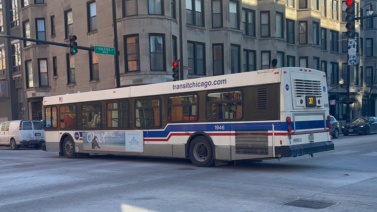 CTA 2009 New Flyer D40LF Bus 1946 On Rt 37 Sedgwick - YouTube
