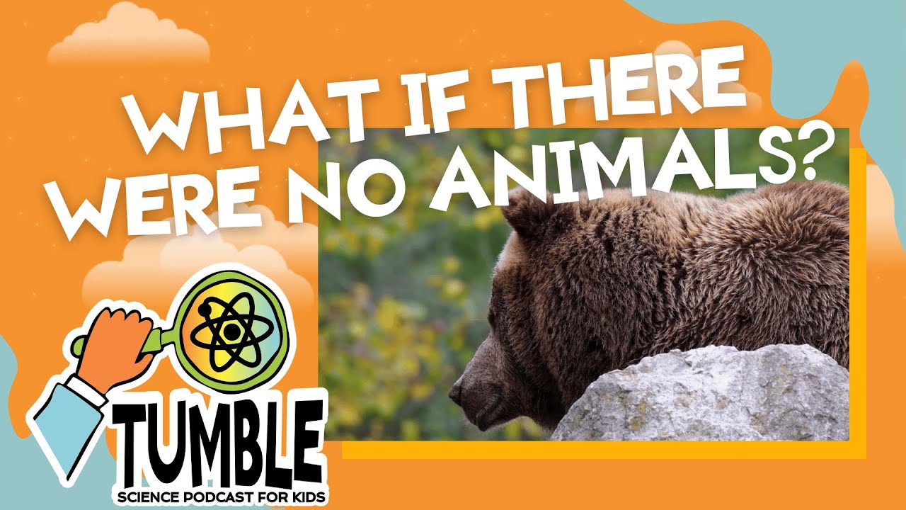 What If There Were No Animals? - Tumble Science Podcast for Kids - YouTube