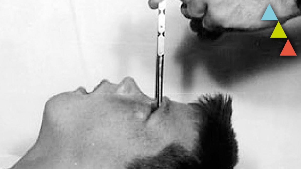 Los 10 experimentos más macabros de la historia - YouTube