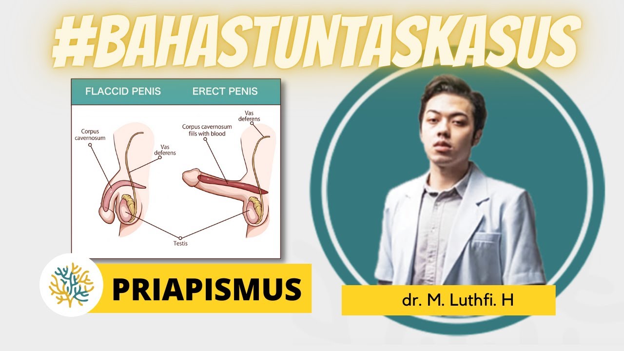 PRIAPISMUS - #BAHASTUNTASKASUS bersama dr. M. Luthfi H - YouTube