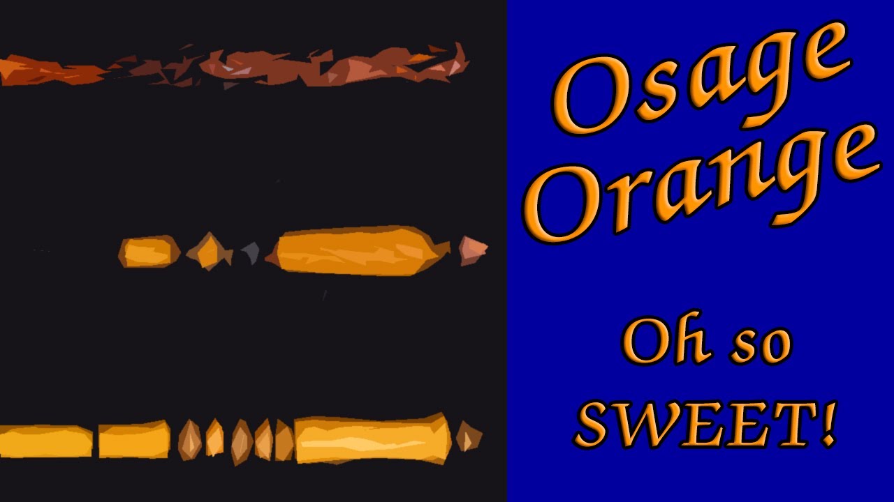 Magic Wands: Osage Orange, A sweet looking wood - YouTube