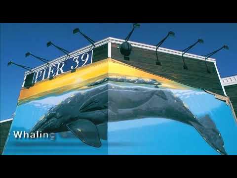 WYLAND-Vision of the Sea v2 - YouTube