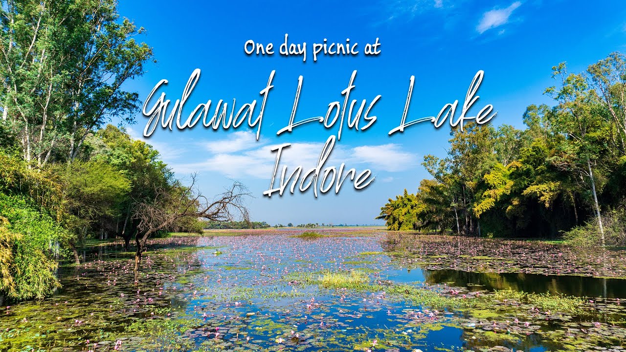 Picnic at Gulawat Lotus Lake Indore (From RRCAT) | Cinematic VLOG & B ...