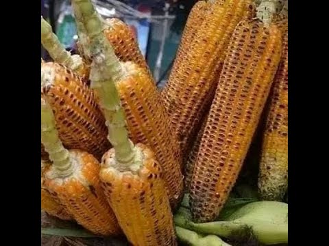 NDULULU-LUGBARA GOSPEL MUSIC ARUA - YouTube