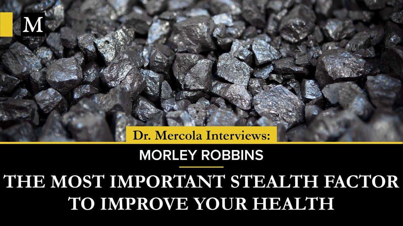 The Most Important Stealth Factor to Improve Your Health – Interview With Morley Robbins - YouTube