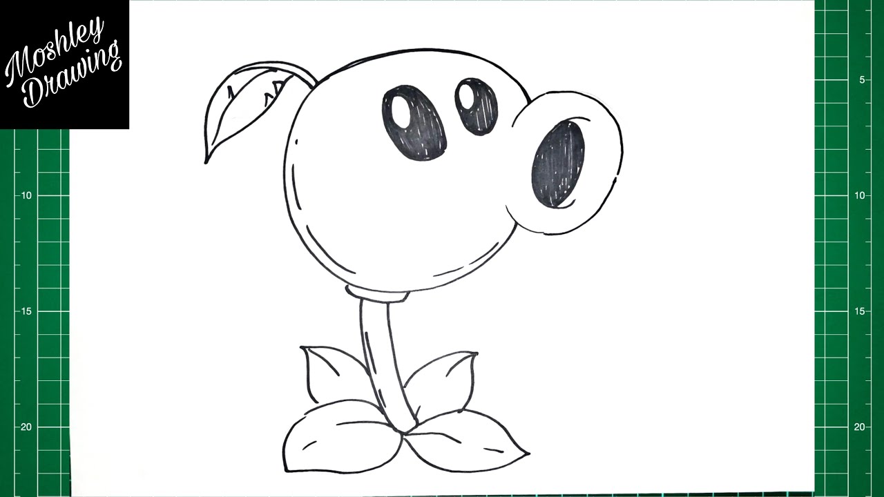 How to Draw Peashooter from Plants Vs Zombies - YouTube