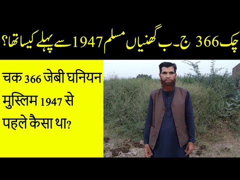 History Of Chak 366 JB Ghania Muslim Tehsil Gojra || Village Life in ...