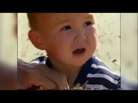 Turkmen Instrumental Only Steppe music \