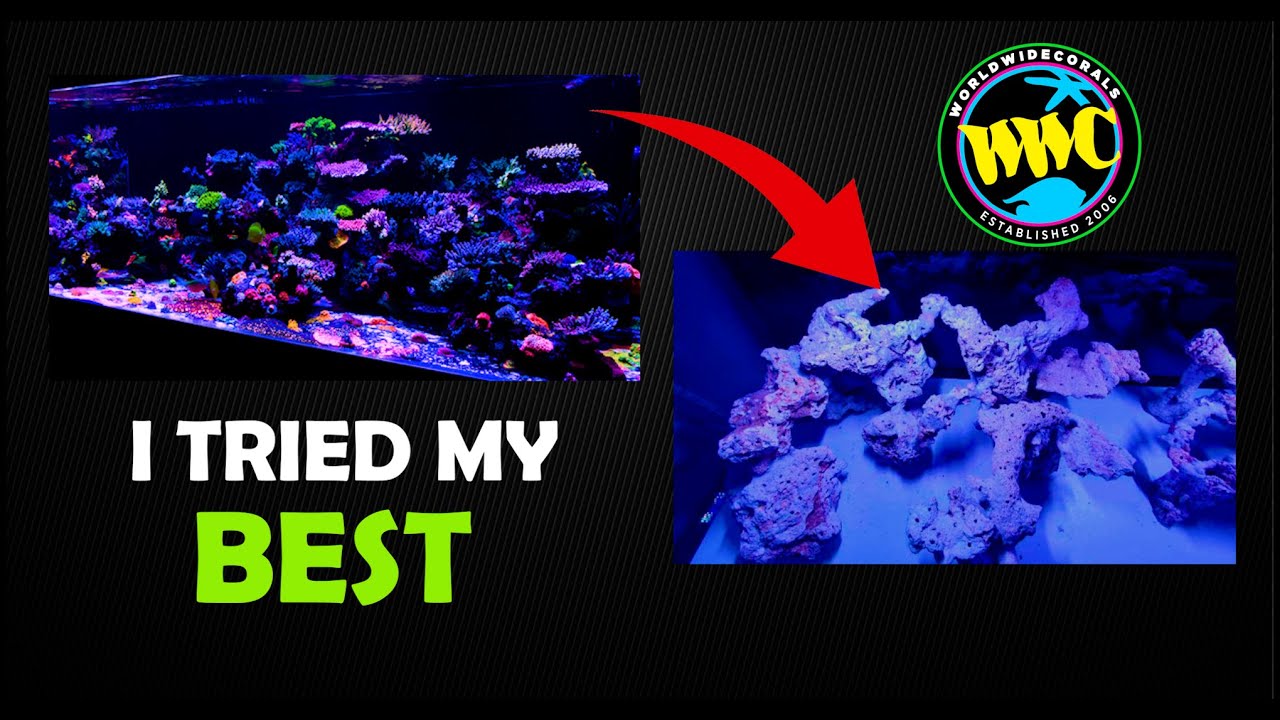 WWC Aquascape Attempt in My 400-Gallon SALTWATER REEF Tank | Did I Nail ...