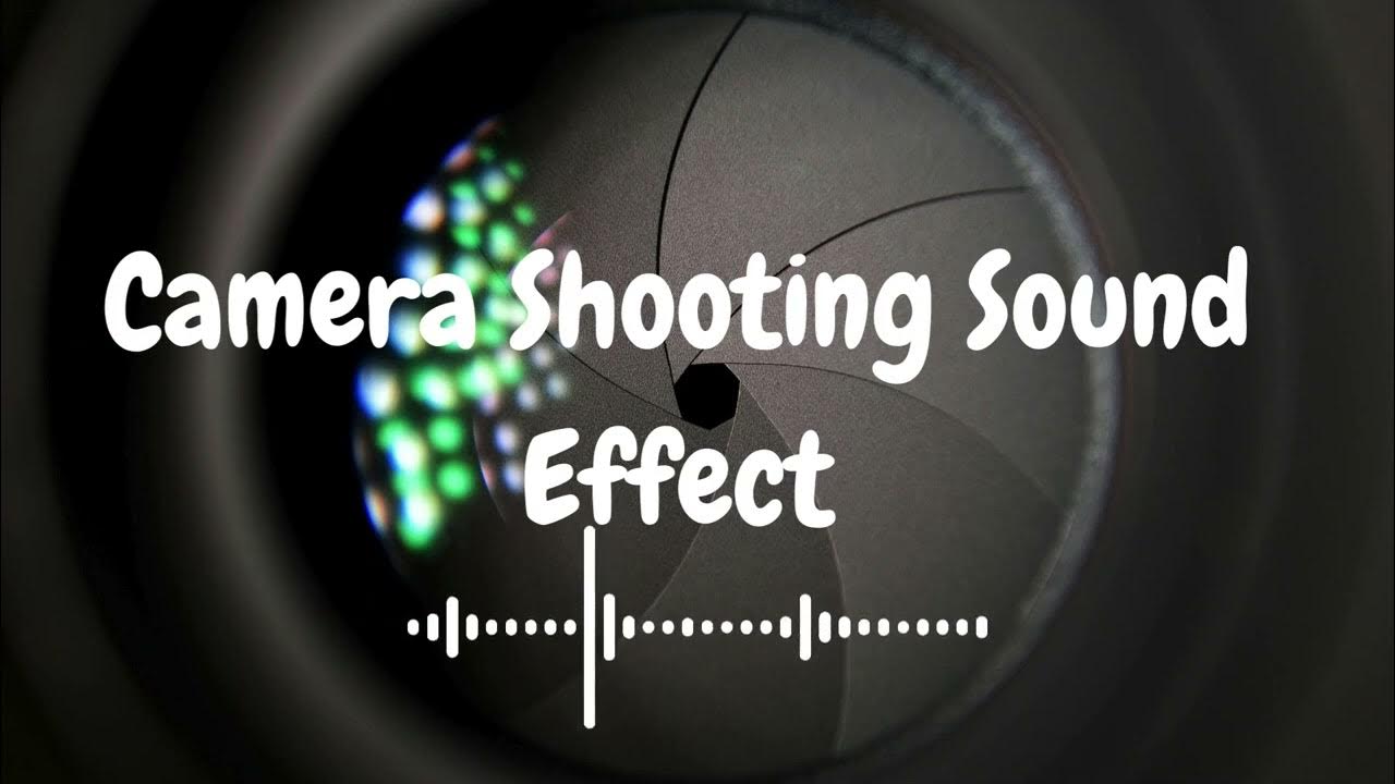 Camera Shooting Sound Effect (No copyright sound effects) | Sounds - YouTube