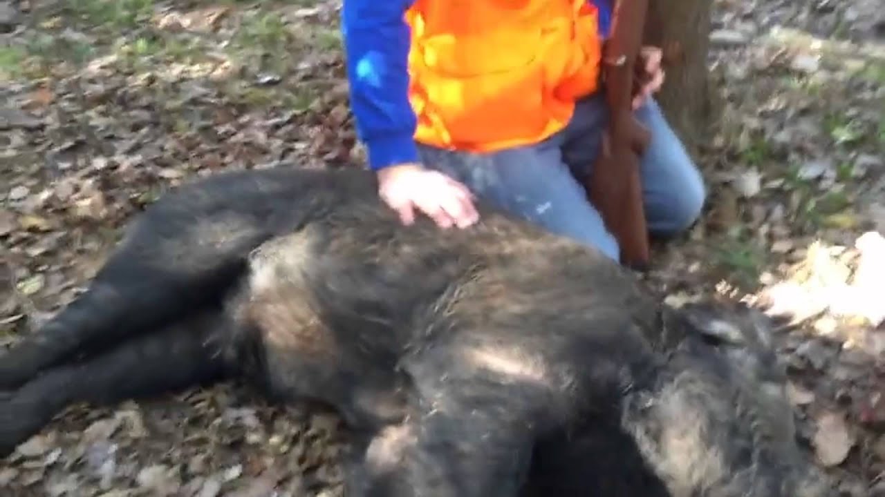 Wounded Warriors take Big Russian Boar! - YouTube
