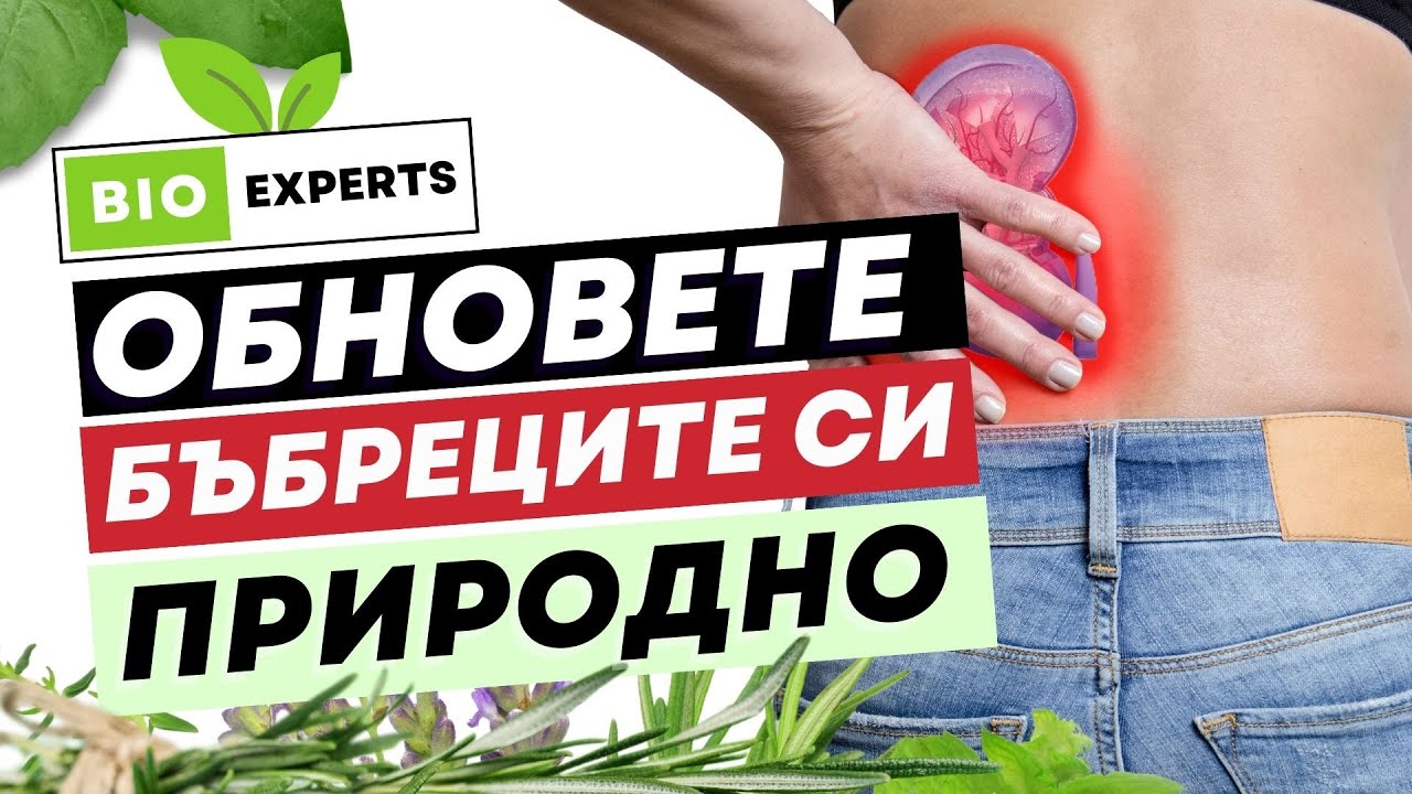 За бъбреци какво се пие Билки за бъбреци Открийте естествената сила