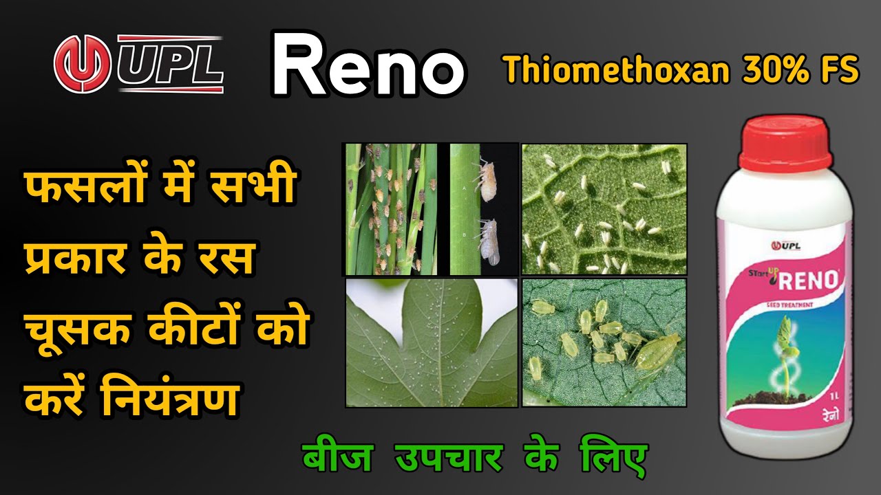 Upl Reno Insecticide | Thiamethoxam 30% FS | Seed treatment | Sucking ...
