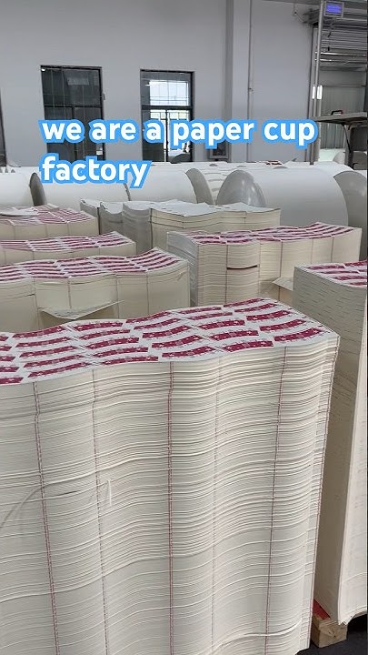 High-quality paper cups directly from a Chinese factory. - YouTube