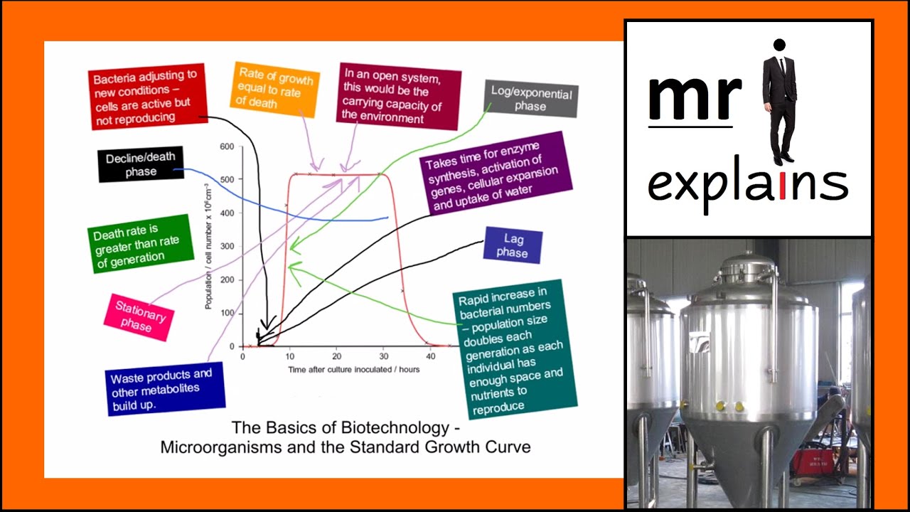 mr i explains: The Basics of Biotechnology - Microorganisms and the ...