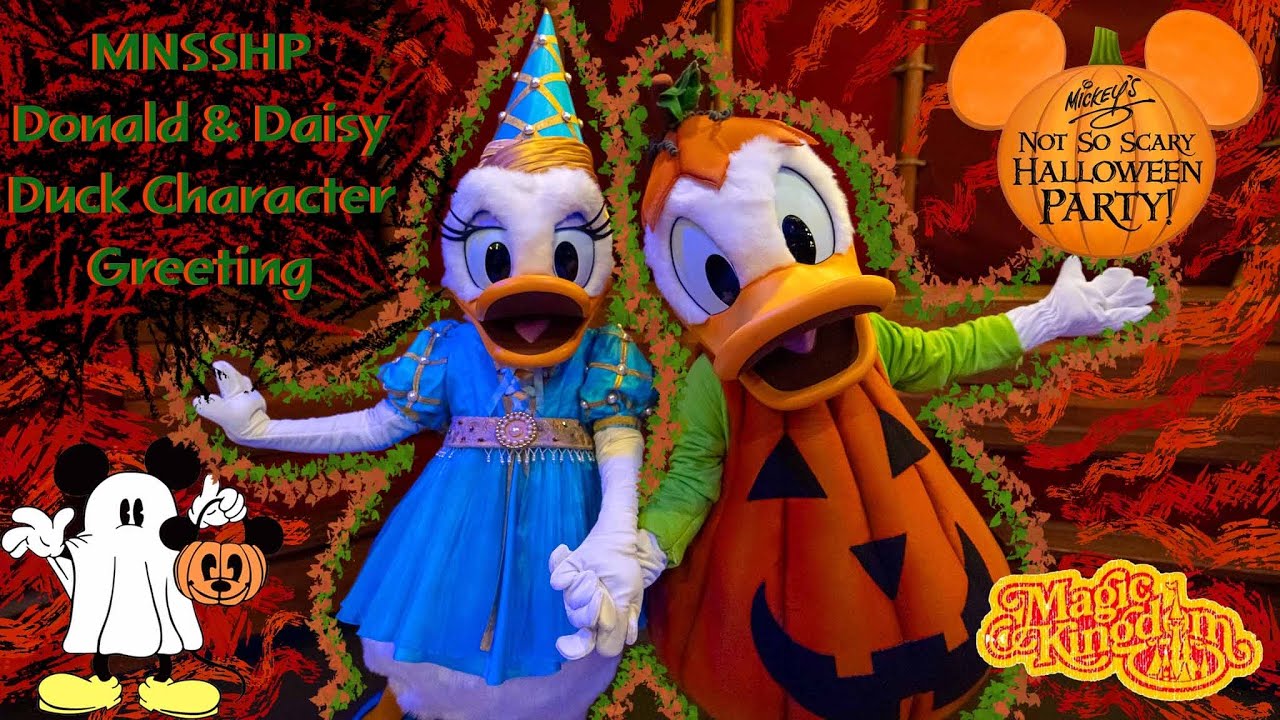 MNSSHP Donald & Daisy Duck Meet & Greet in Magic Kingdom VR180 3D 8K ...