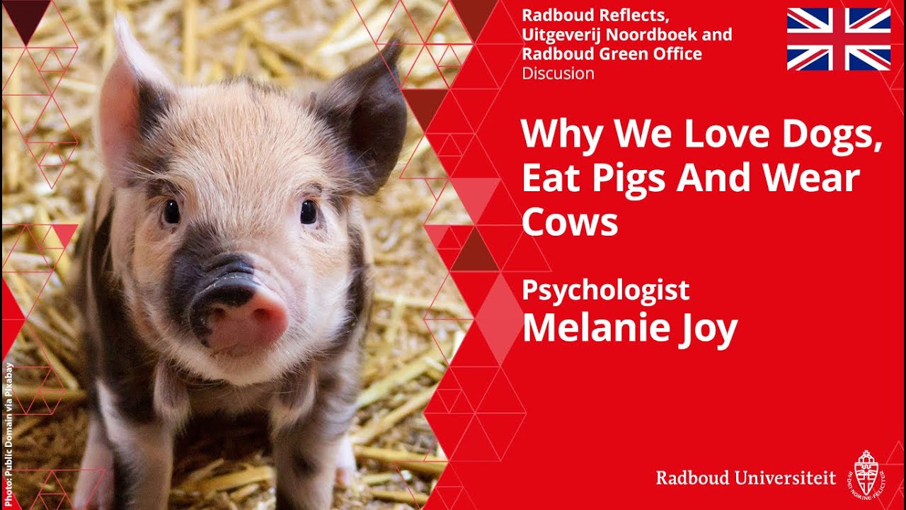 Why Do We Love Dogs Eat Pigs And Wear Cows