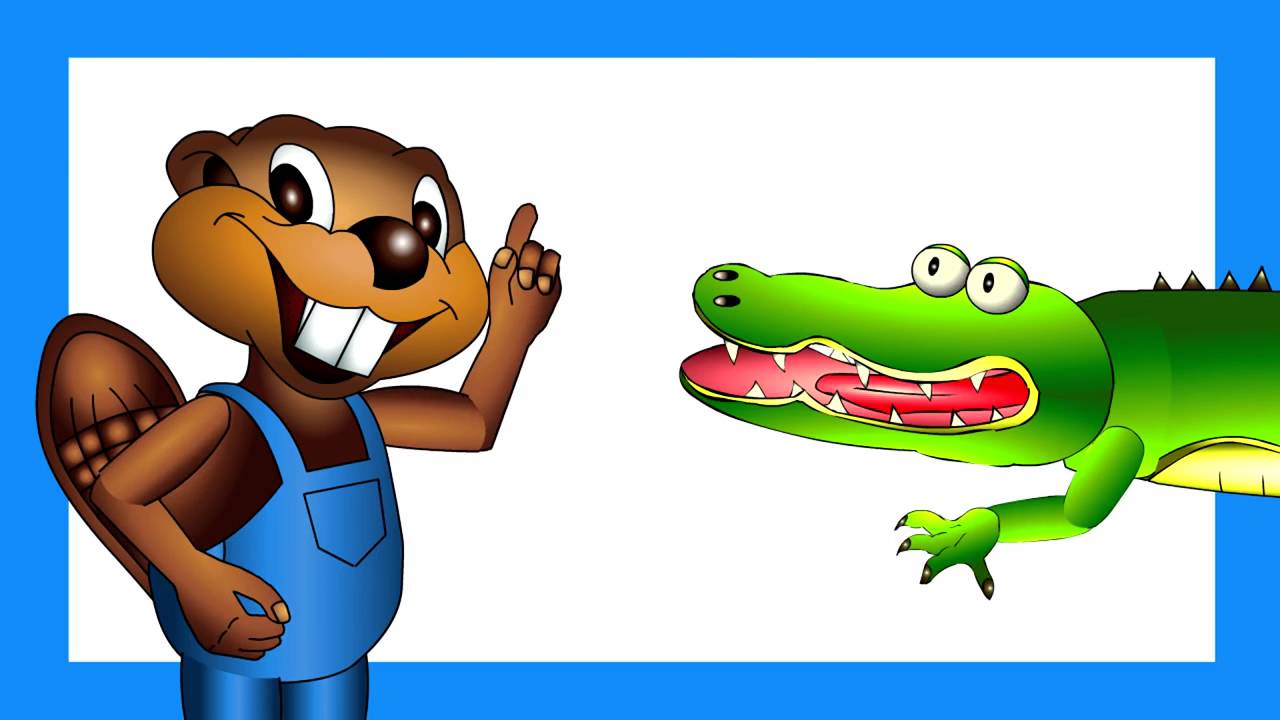 Subscribe to Busy Beavers TV for $1.99 US a Month - YouTube