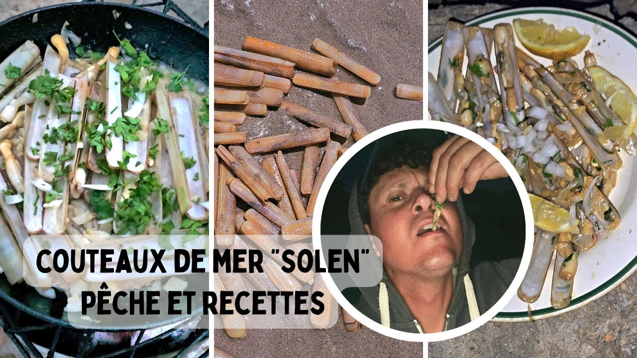 Couteau de mer "Solen", pêche et recettes - YouTube
