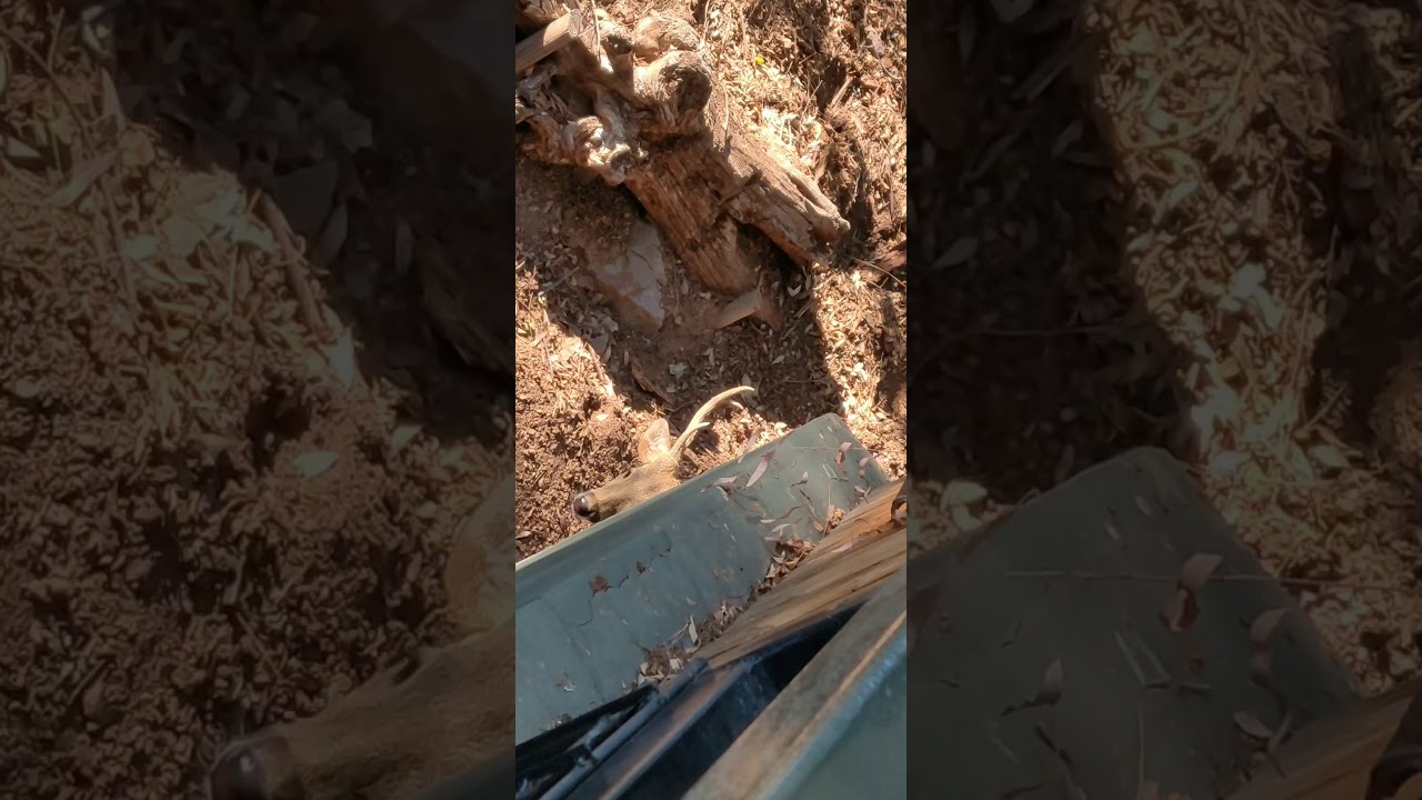 Bus driver David playing around part 4 - YouTube