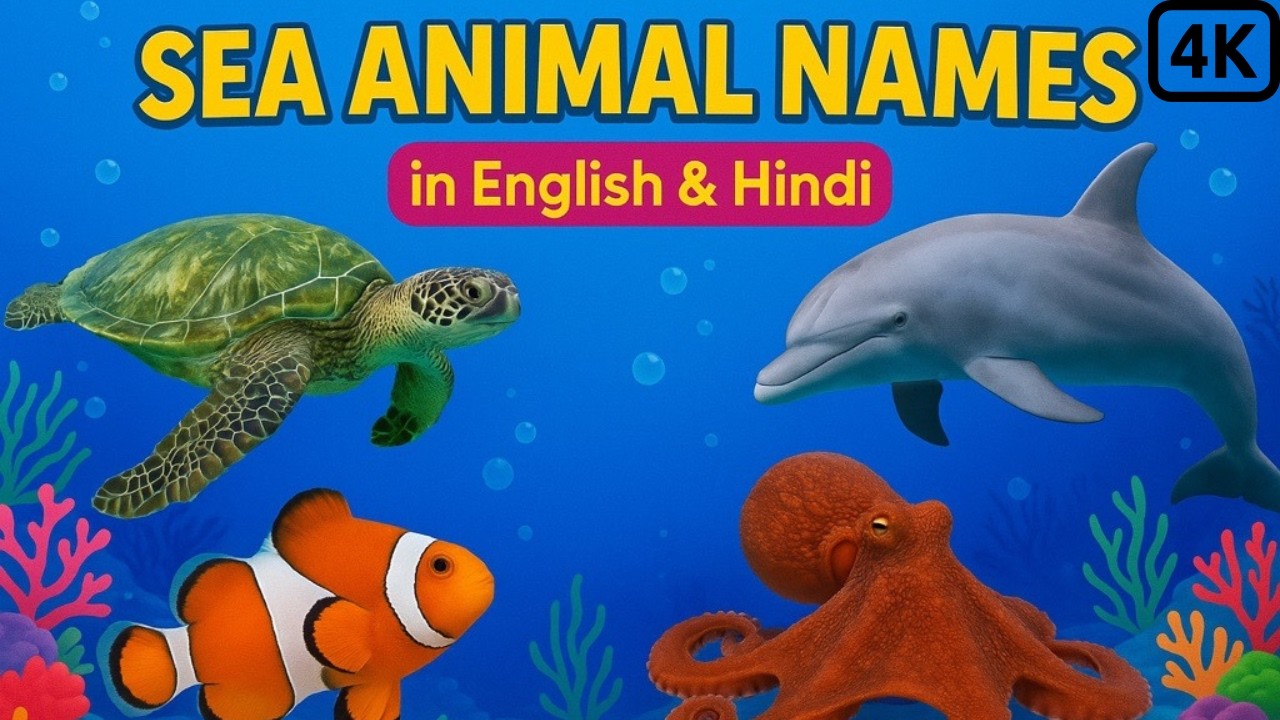 Sea Animals in English & Hindi | समुद्री जानवर | Learn Ocean Animal ...