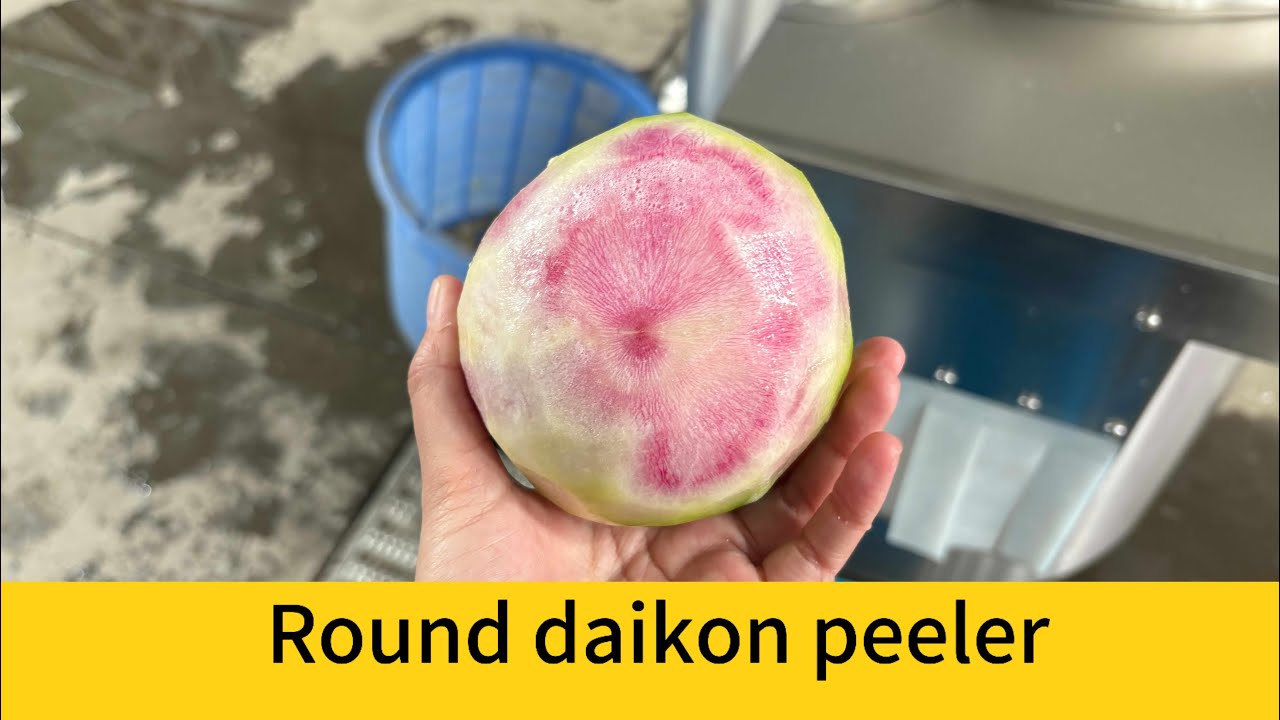 Round daikon knife peeler machine - YouTube