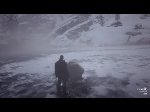 Red Dead Redemption 2 - Bear Attack - YouTube